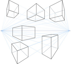 One point perspective line drawings set cubes Vector Image