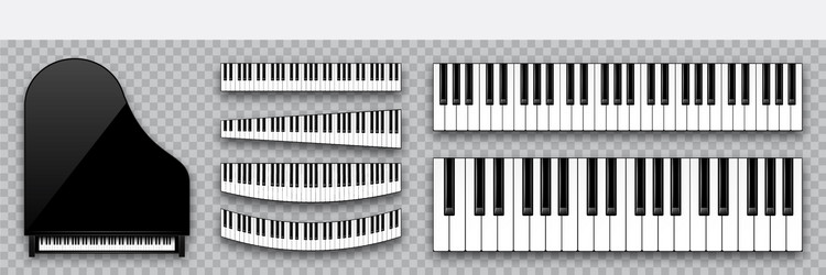 Realistic piano keys musical instrument keyboard Vector Image