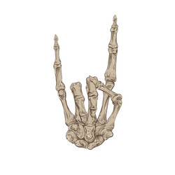 Skeleton hand heavy metal Royalty Free Vector Image