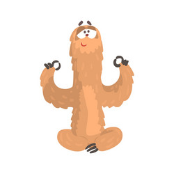 Meditating Sloth Vector Images (over 310)