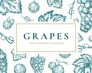 Grapes design for wine menu Royalty Free Vector Image