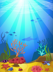 Marine coral reef underwater sea ocean nature Vector Image