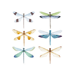 Dragonfly Vector Images (over 16,000)