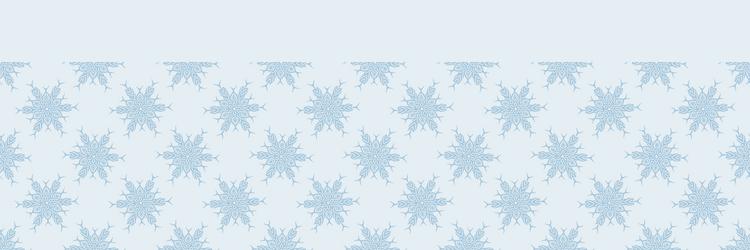 Christmas frozen snowflake seamless border Vector Image