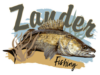 Zander Vector Images (over 230)