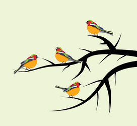 Bird flying around a tree Royalty Free Vector Image