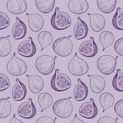 Free Pattern Vector Images (over 240,000)