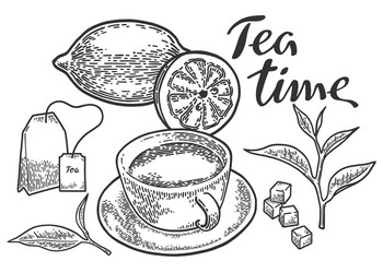 Tea time with cute cups freehand drawing sketch Vector Image
