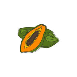 Papaya whole and half papaw or pawpaw ediable Vector Image