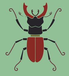Stag beetle Royalty Free Vector Image - VectorStock