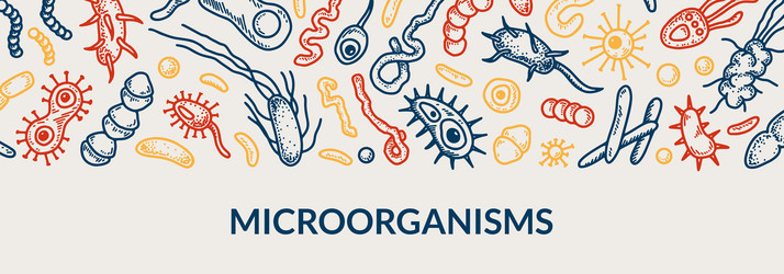 Set of microbiology banners collection Royalty Free Vector