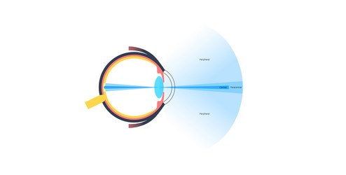 Peripheral vision poster Royalty Free Vector Image