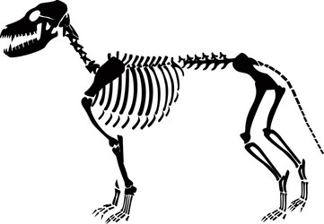 Day of the Dead Dog Vector Images (over 170)