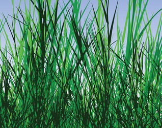 Jungle Grass Vector Images (over 13,000)