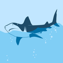 Blue shark Royalty Free Vector Image - VectorStock