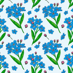 Forget Me not Vector Images (over 2,000)
