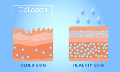 Youngers Vector Images (over 700)