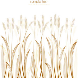Grain Vector Images (over 210,000)