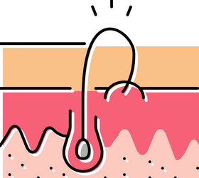 Pubic Hair Vector Images (over 270)
