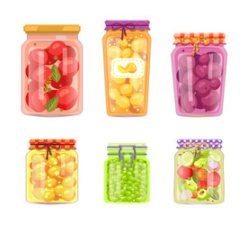 Preserved food in jars vegetables with bay leaves Vector Image