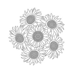 Sunflower Png Vector Images (over 210)