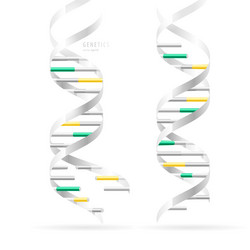 Double Helix Vector Images (over 1,000)
