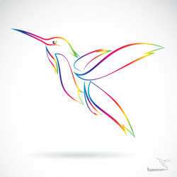 Colorful hummingbird icon symbol in flat style Vector Image