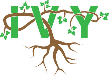 Ivy Letters Vector Images (over 180)