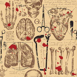 Anatomy seamless pattern with draw human organs Vector Image