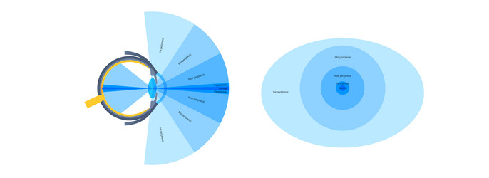 Peripheral vision poster Royalty Free Vector Image