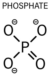Chemical Formula Phosphate Vector Images (over 340)