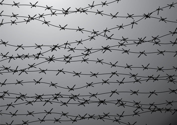 Barbed wire fencing fence made Royalty Free Vector Image