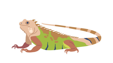 Cartoon Flapping Lizard Tongue