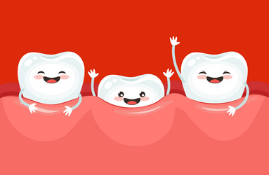 Milk teeth or baby tooth cartoon characters Vector Image