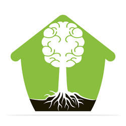 Brain tree roots concept design Royalty Free Vector Image