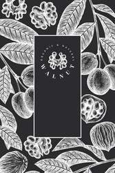 Hand drawn sketch walnut design template organic Vector Image