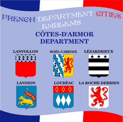 Flags and emblems of french department cities Vector Image