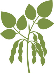 Soybean Vector Images (over 5,100)