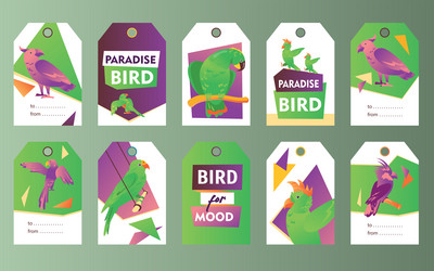 Special tag designs with retro and modern Vector Image