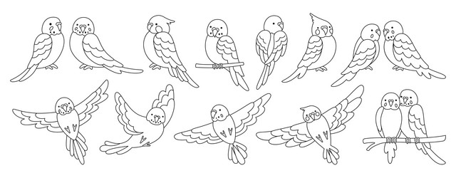 Parakeet Outline Vector Images (over 390)