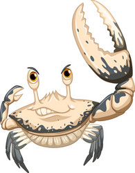 Crab Arms Vector Images (59)