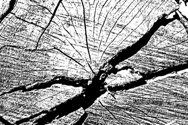 Cracked Circle Vector Images (over 6,200)