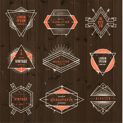Set of line design emblem sign and hipster labels Vector Image