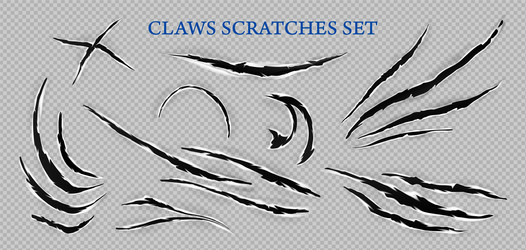 Scratches from the cats claws wounds Royalty Free Vector