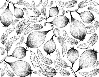 Hand drawn wallpaper of hanza fruits on white back