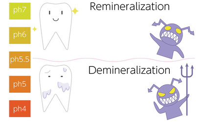 Image of tooth and dental caries by ph value Vector Image