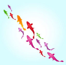 Koi fish swimming in pond with beautiful water Vector Image