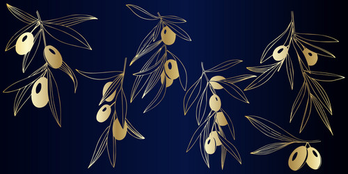 Golden olive branch plant botanical Royalty Free Vector