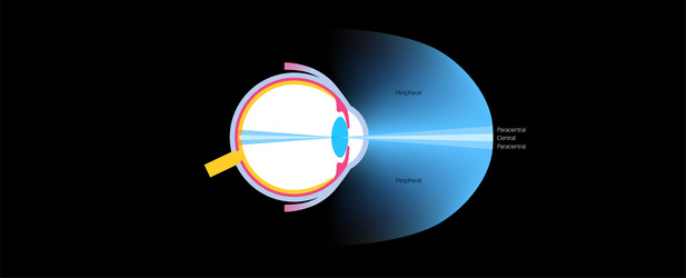 Peripheral vision poster Royalty Free Vector Image