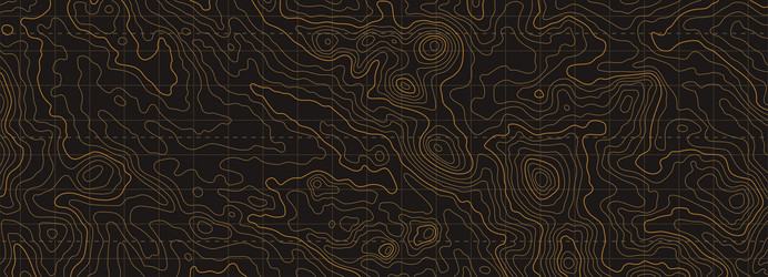 Topographic map patterns topography line map Vector Image